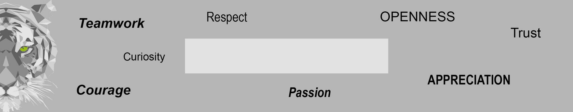 TIGER Core Values - TIGER Coatings - A better finish. A better print. For a better world.